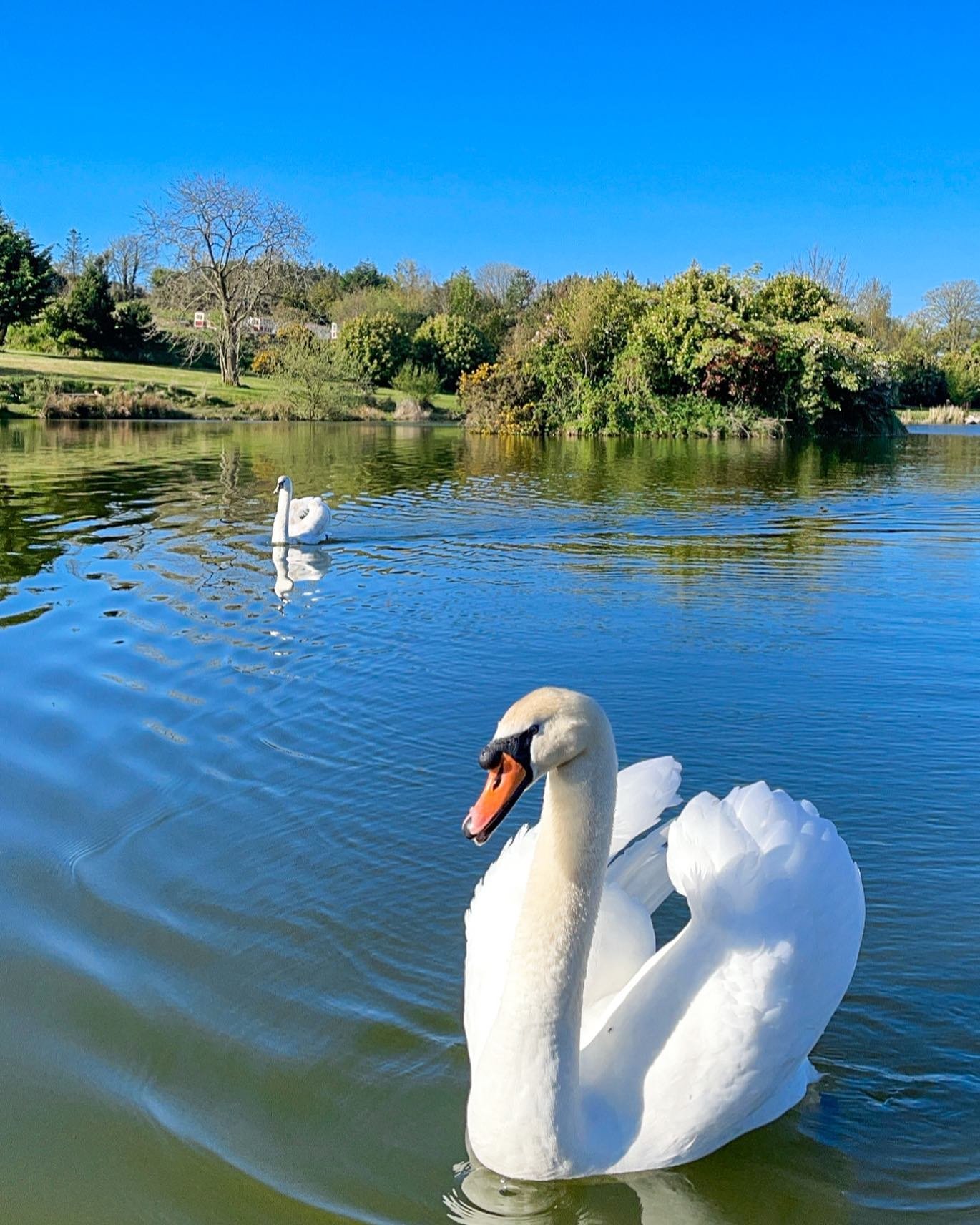 Southern County Fishing Resort - iVisit